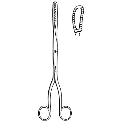 Bierer Ovum Forceps 11" - 91-3822 - Each - Surgical Instruments - OB - GYN